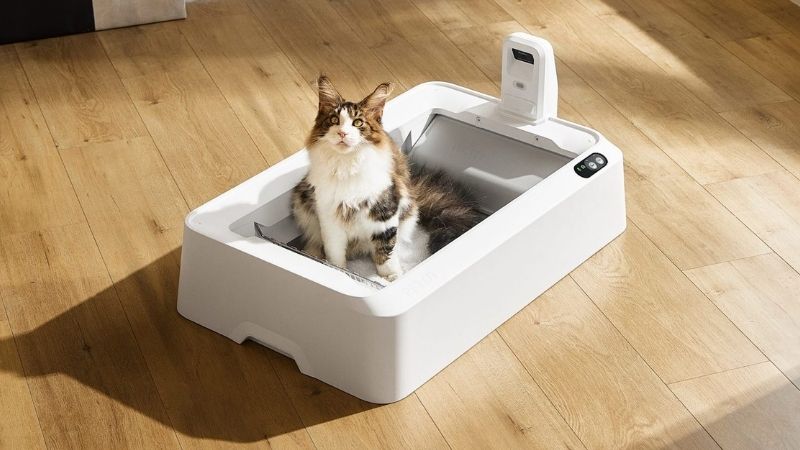 Smart Litter Boxes for Cats: Benefits and How to Choose | Price ...